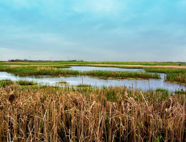 Environmental Services – Widseth