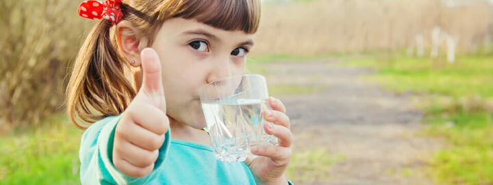 Lead Service Line Inventory Program