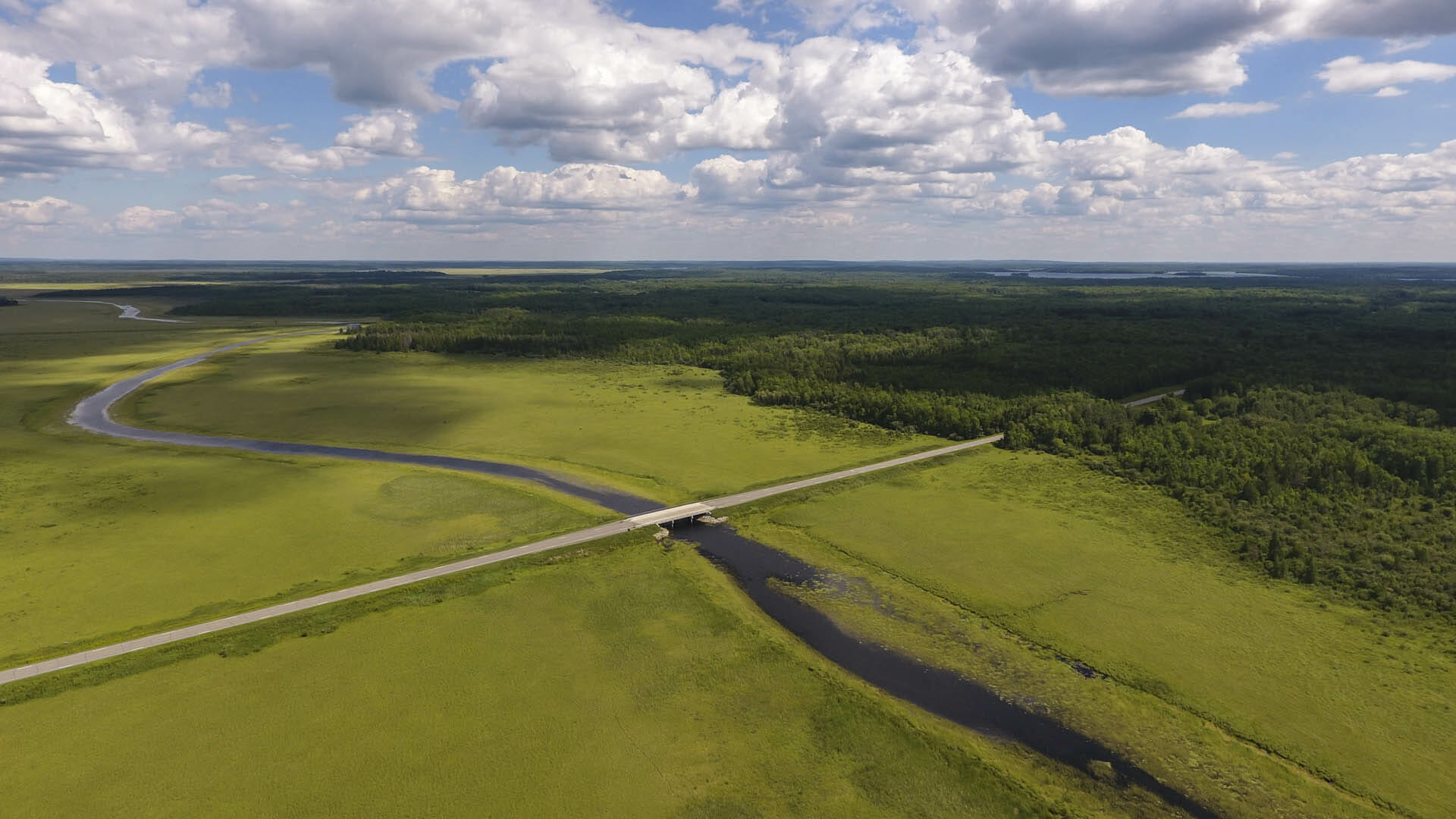 Bridge Design – Widseth